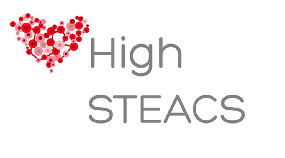 High-sensitivity cardiac troponin in the evaluation of suspected acute ...